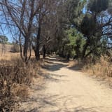Hansen Dam Bike Path Trail, California - 826 Reviews, Map | AllTrails