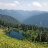 Johnson Ridge Trail, Washington - 291 Reviews, Map | AllTrails