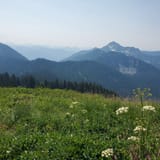 Johnson Ridge Trail, Washington - 291 Reviews, Map | AllTrails
