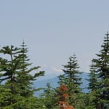 Johnson Ridge Trail, Washington - 291 Reviews, Map | AllTrails