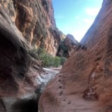 Red Reef Trail, Utah - 2,825 Reviews, Map | AllTrails