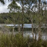 Poona Lake, Queensland, Australia - 73 Reviews, Map | AllTrails