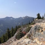 Mount Catherine (#1348), Washington - 894 Reviews, Map | AllTrails