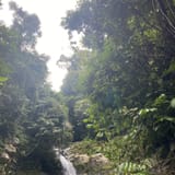 Lepoh Waterfalls, Selangor, Malaysia - 271 Reviews, Map | AllTrails