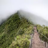 MIUT® - Madeira Island Ultra-Trail, Madeira, Portugal - 83 Reviews, Map ...