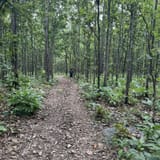 Mon Jing Loop, Chiang Mai, Thailand - 289 Reviews, Map | AllTrails