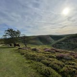 Long Mynd Circular, Shropshire, England - 1,259 Reviews, Map | AllTrails
