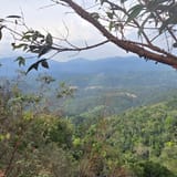 Mount Angsi, Negeri Sembilan, Malaysia - 1,048 Reviews, Map | AllTrails