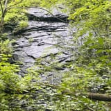 Daniel Ridge Loop, North Carolina - 2,143 Reviews, Map | AllTrails