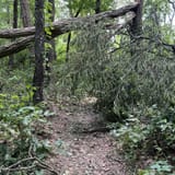 Salt Run, Ohio - 1,515 Reviews, Map | AllTrails