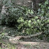 Salt Run, Ohio - 1,515 Reviews, Map | AllTrails