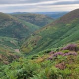 Long Mynd Circular, Shropshire, England - 1,259 Reviews, Map | AllTrails