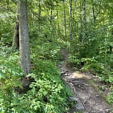 East Ridge Trail, Minnesota - 354 Reviews, Map | AllTrails