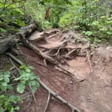 East Ridge Trail, Minnesota - 325 Reviews, Map | AllTrails