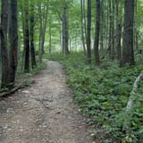 Kelly's Run Loop Trail, Pennsylvania - 3,785 Reviews, Map | AllTrails