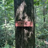 Kelly's Run Loop Trail, Pennsylvania - 3,785 Reviews, Map | AllTrails