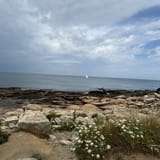 Halibut Point Trail, Massachusetts - 1,550 Reviews, Map | AllTrails