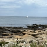 Halibut Point Trail, Massachusetts - 1,550 Reviews, Map | AllTrails