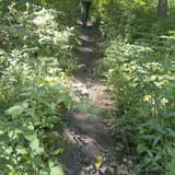 Gander Mountain Loop Trail, Illinois - 514 Reviews, Map | AllTrails