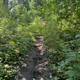 Gander Mountain Loop Trail, Illinois - 514 Reviews, Map | AllTrails