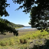 Anglezarke Reservoir, Lancashire, England - 772 Reviews, Map | AllTrails