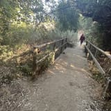 Two Trees Trail, California - 1,389 Reviews, Map | AllTrails