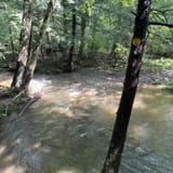 Huckleberry Point Trail, New York - 1,877 Reviews, Map | AllTrails