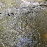 Huckleberry Point Trail, New York - 1,877 Reviews, Map | AllTrails