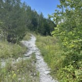 Flat Fork Ridge Trail, Ohio - 1,386 Reviews, Map | AllTrails