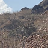 The M Hike, California - 1,138 Reviews, Map | AllTrails