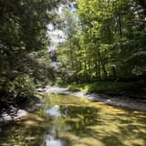 Wintergreen Gorge Trail, Pennsylvania - 586 Reviews, Map | AllTrails