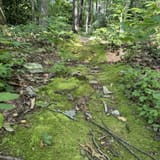 Bad Branch Trail, Kentucky - 192 Reviews, Map | AllTrails