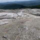 Mount Cardigan Loop Trail, New Hampshire - 2,329 Reviews, Map | AllTrails