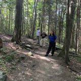 Mount Cardigan Loop Trail, New Hampshire - 2,329 Reviews, Map | AllTrails