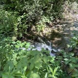 Stephens' Falls Trail, Wisconsin - 189 Reviews, Map | AllTrails