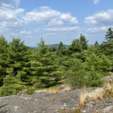 Blue Job Mountain Loop, New Hampshire - 2,330 Reviews, Map | AllTrails