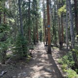 Spruce Creek Loop, Colorado - 1,915 Reviews, Map | AllTrails
