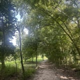 Deer Ridge Park 4K Loop, Missouri - 170 Reviews, Map | AllTrails