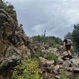 Mount Morrison Trail, Colorado - 6,430 Reviews, Map | AllTrails