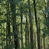 Seven Sisters and Friston Forest Circular, East Sussex, England - 1,411 ...