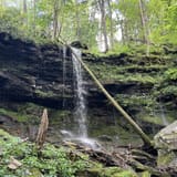 Jacoby Falls Trail, Pennsylvania - 652 Reviews, Map | AllTrails