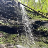 Jacoby Falls Trail, Pennsylvania - 651 Reviews, Map | AllTrails