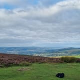 Long Mynd Circular, Shropshire, England - 1,259 Reviews, Map | AllTrails