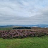 Long Mynd Circular, Shropshire, England - 1,259 Reviews, Map | AllTrails