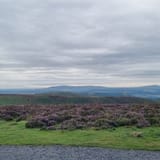 Long Mynd Circular, Shropshire, England - 1,251 Reviews, Map | AllTrails