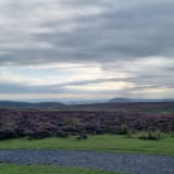 Long Mynd Circular, Shropshire, England - 1,259 Reviews, Map | AllTrails