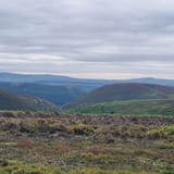 Long Mynd Circular, Shropshire, England - 1,251 Reviews, Map | AllTrails