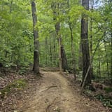 Lake Thom-a-Lex Nature Trail, North Carolina - 264 Reviews, Map | AllTrails