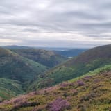 Long Mynd Circular, Shropshire, England - 1,259 Reviews, Map | AllTrails