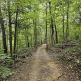 Lake Thom-a-Lex Nature Trail, North Carolina - 264 Reviews, Map | AllTrails